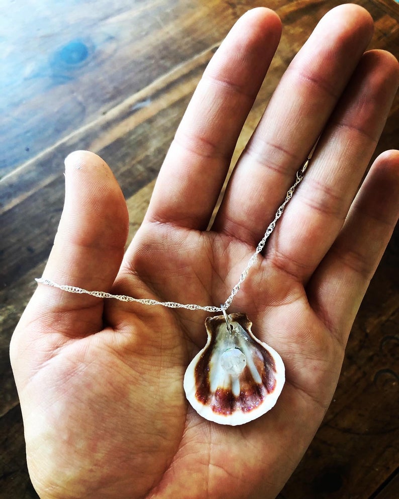 Real Seashell And Fresh Water Pearl And Crystal Necklace-sea Shell ...