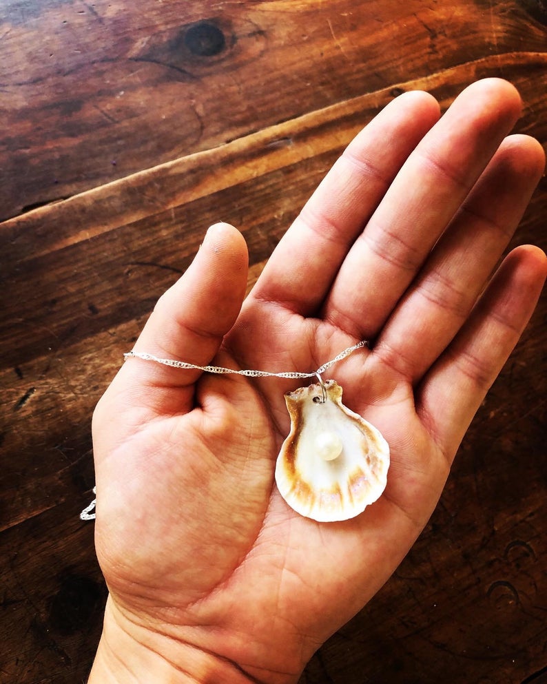 Real Seashell And Fresh Water Pearl And Crystal Necklace-sea Shell ...